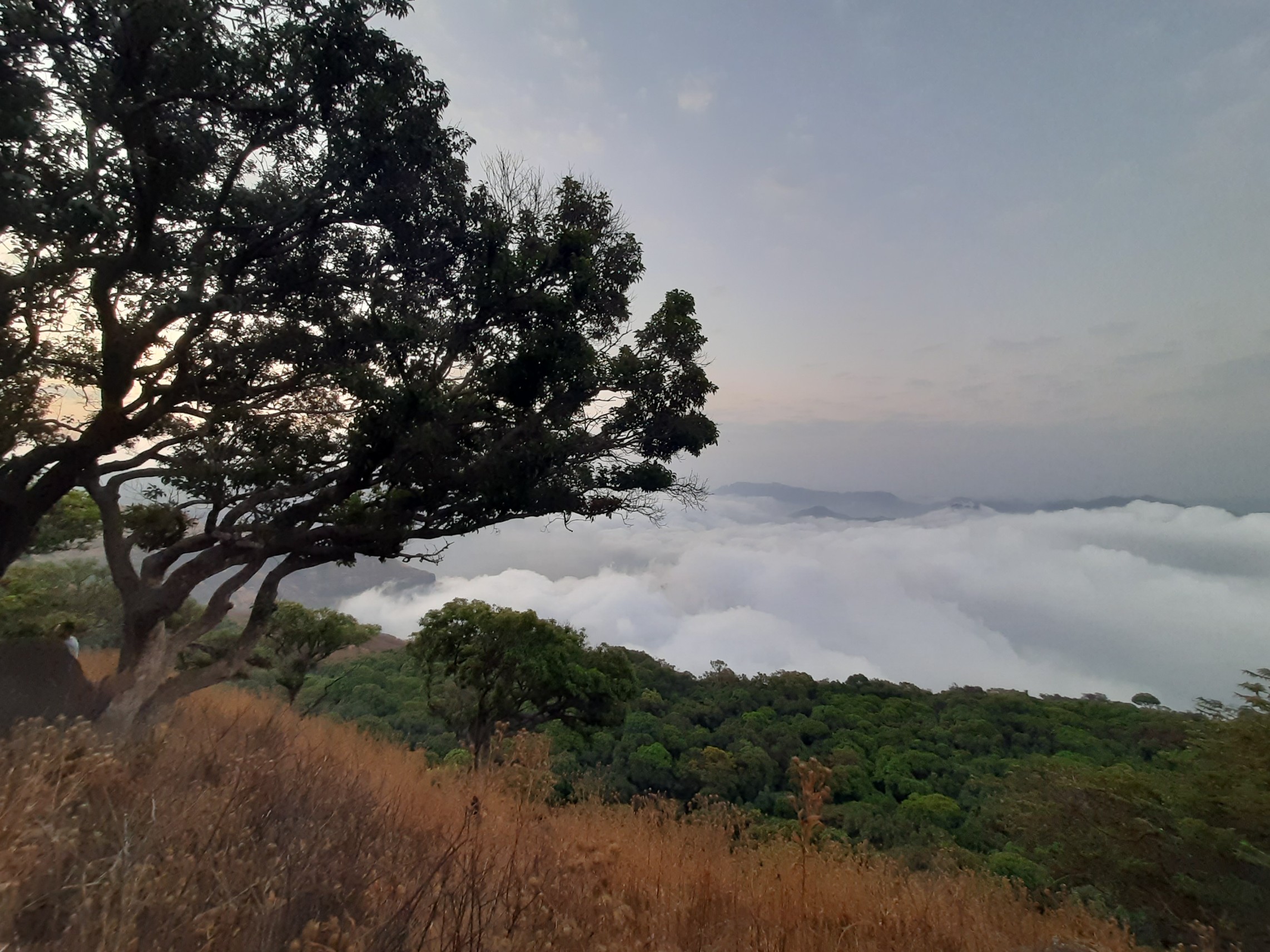 TrekPanda :Best Trekking and Backpacking company in India