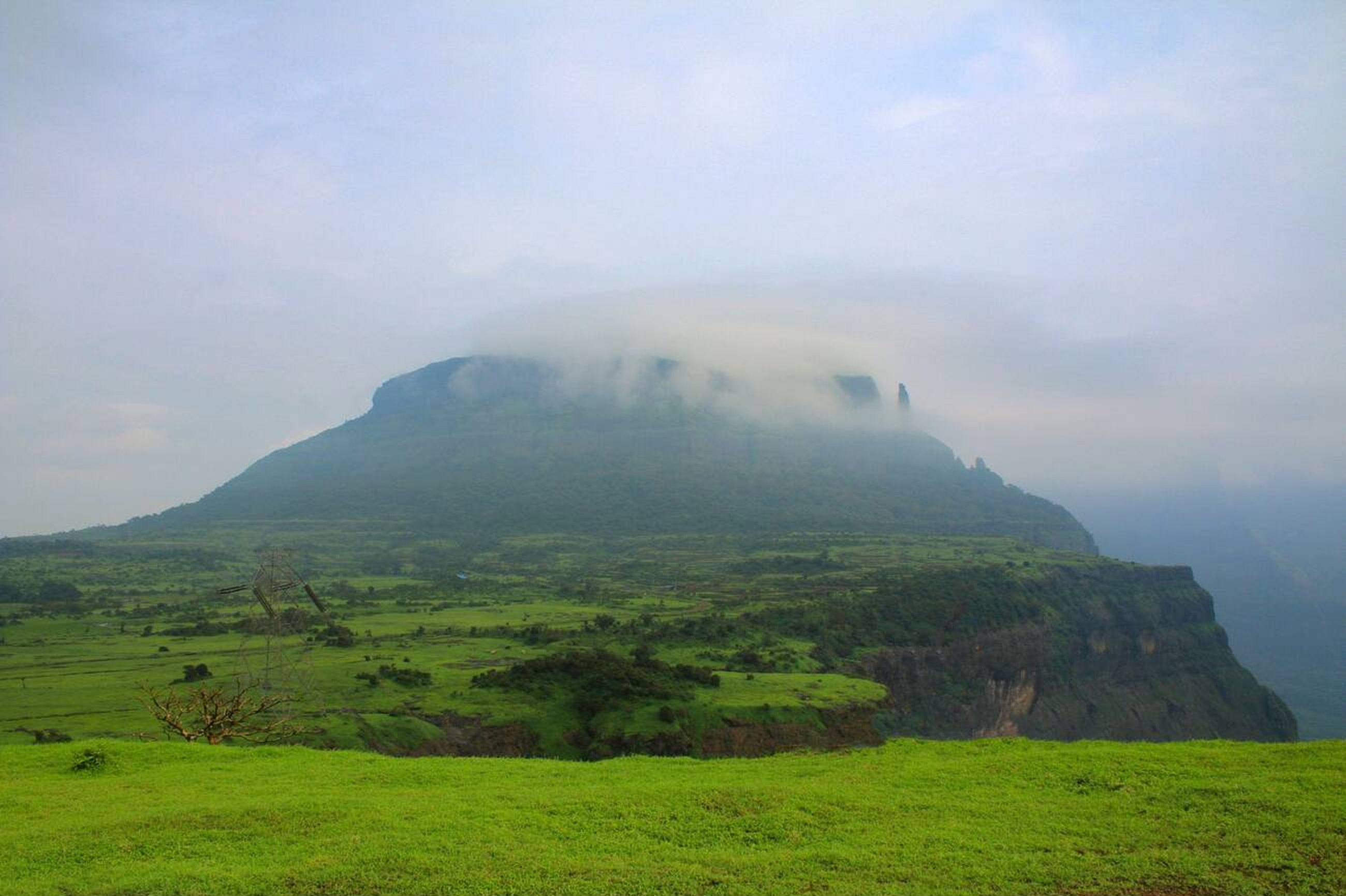 TrekPanda :Best Trekking and Backpacking company in India