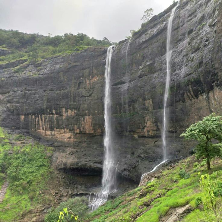 TrekPanda :Best Trekking and Backpacking company in India