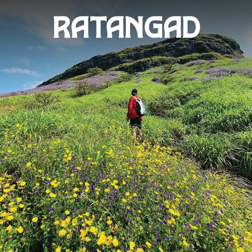 TrekPanda :Best Trekking and Backpacking company in India