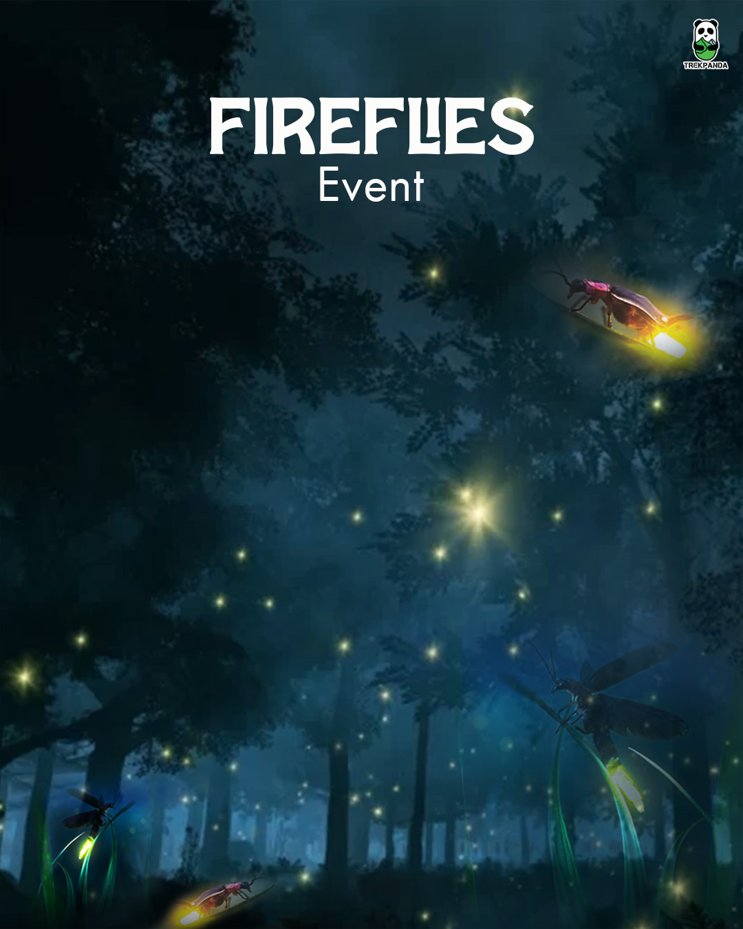 TrekPanda :Best Trekking and Backpacking company in India