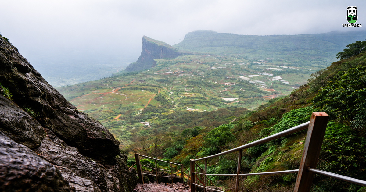 TrekPanda :Best Trekking and Backpacking company in India